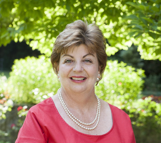 After government intervention, Irish Senate postpones vote on ...